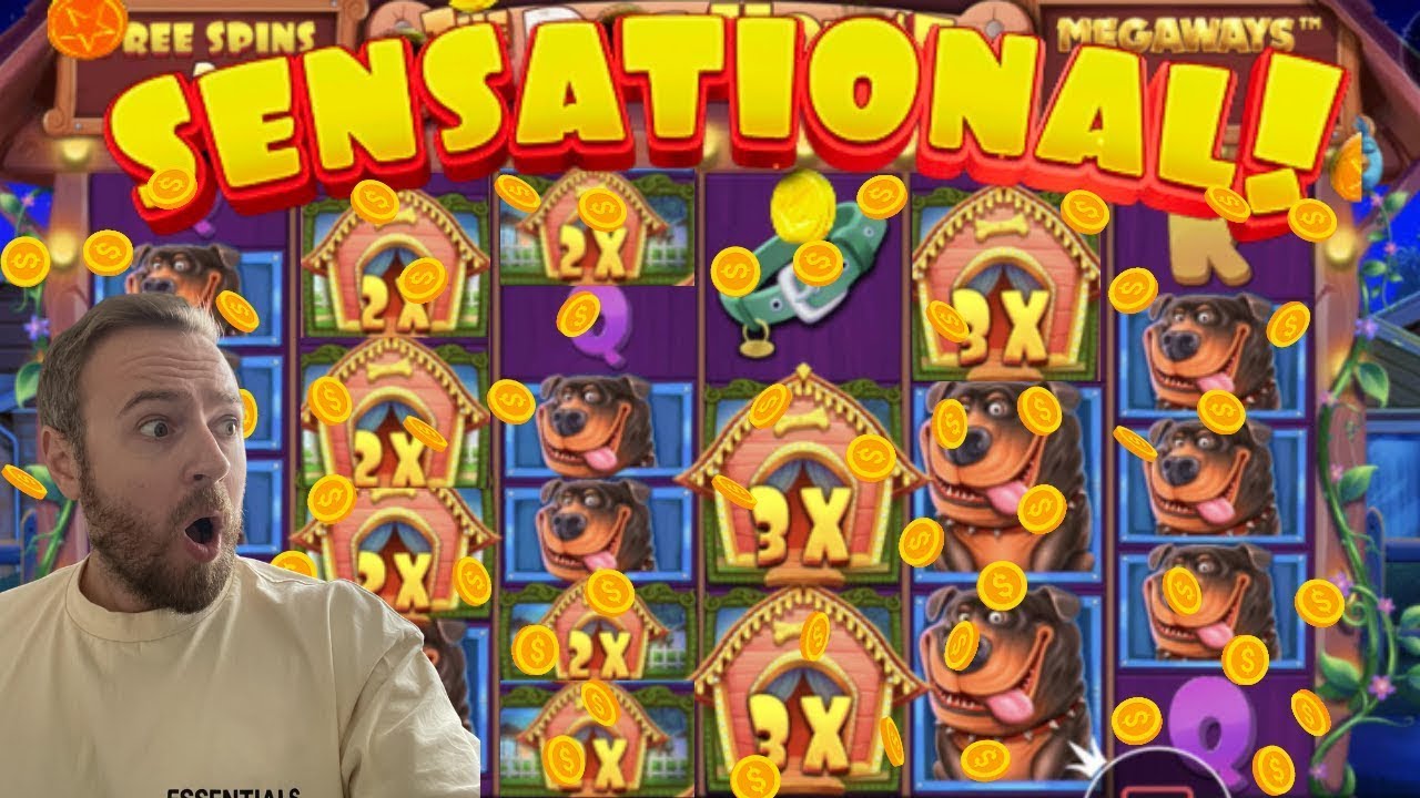 My Best Dog House Slot Win Yet! – Which Slot Offers the Biggest Returns ...