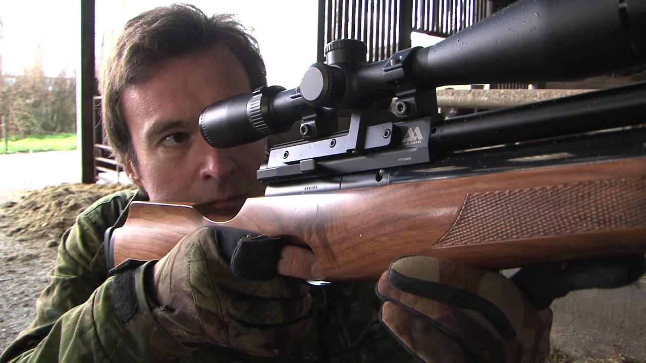 Hunting with AirGuns - Air Hunters - Its Pigeon Time - Air Gun Hunting ...