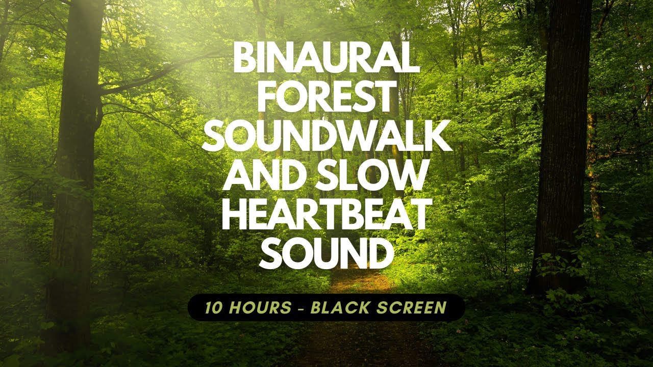 SOOTHING BINAURAL FOREST SOUNDWALK AND SLOW HEARTBEAT SOUND - YouTube