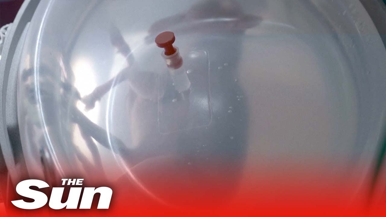Spanish doctors tries to "trick nature" into creating an artificial ...