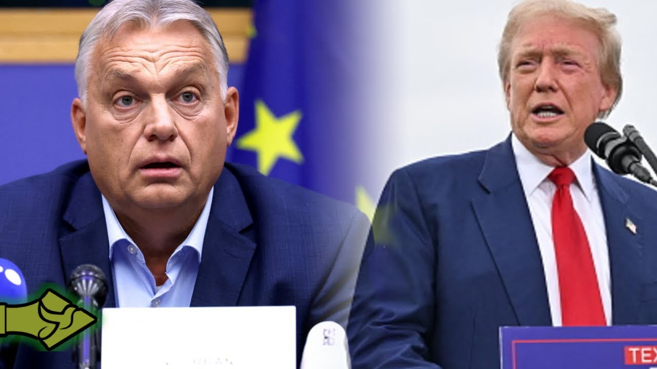 «ΘΑ ΑΝΟΙΞΟΥΜΕ ΣΑΜΠΑΝΙΕΣ ΑΝ ΚΕΡΔΙΣΕΙ ΤΙΣ ΕΚΛΟΓΕΣ Ο ΤΡΑΜΠ» - YouTube