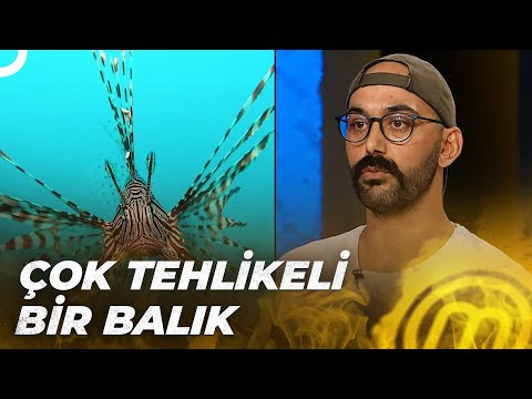ELEME TURUNDA ZEHİRLİ BALIK! | MasterChef Türkiye 9. Bölüm