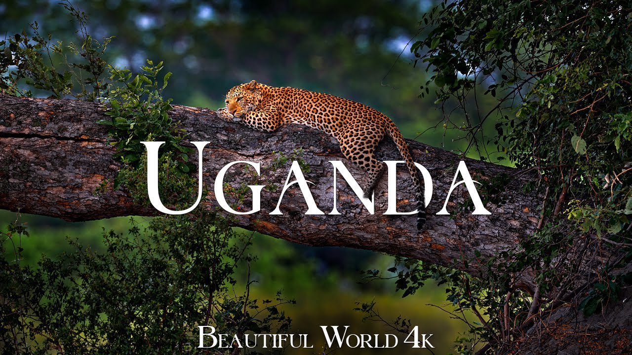 Uganda 4K Relaxation Film - Meditation Relaxing Music - Scenic ...