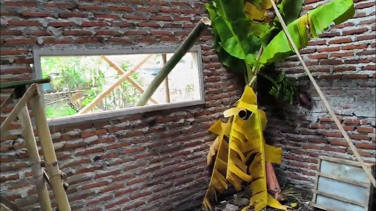 H56 Bangun Rumah - YouTube