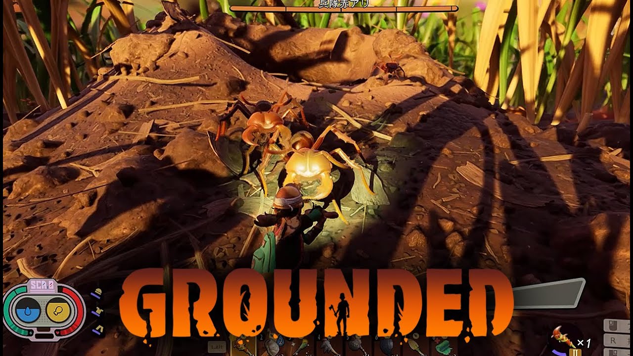 #5 Grounded 2022 12 08 - YouTube