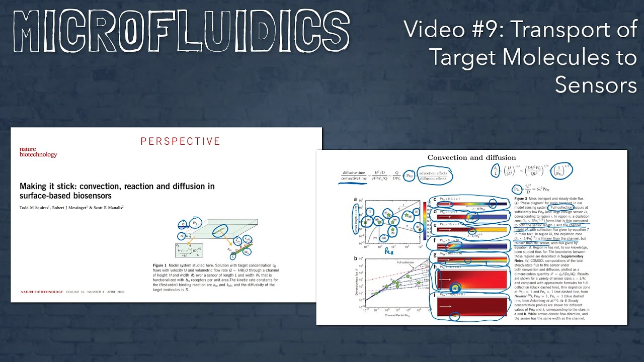Microfluidics - Video #9 - Transport of Target Molecules to Sensors - YouTube
