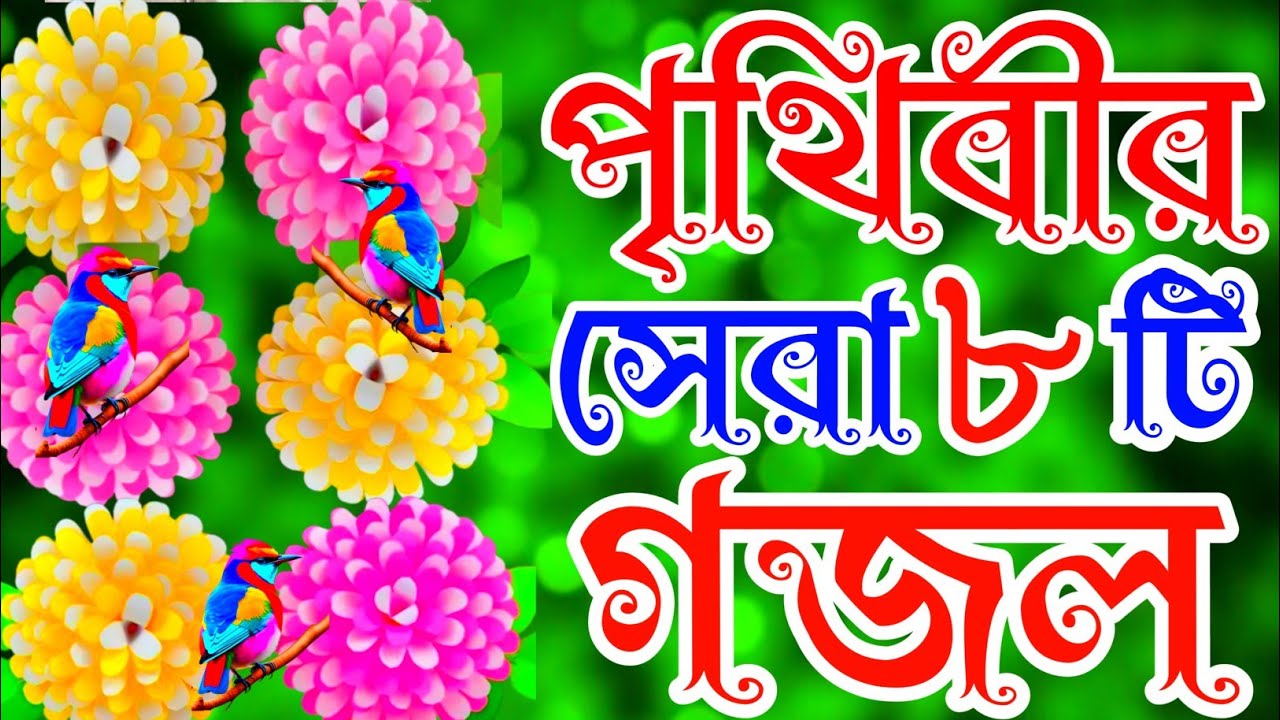 খুবই দুঃখের পৃথিবীর সেরা ৮টি মণ প্রাণ উজাড় করা গজল|| New islamic best ...