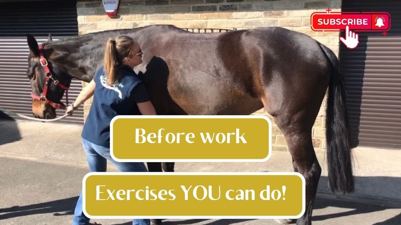 Horse Before and After Work routine - YouTube