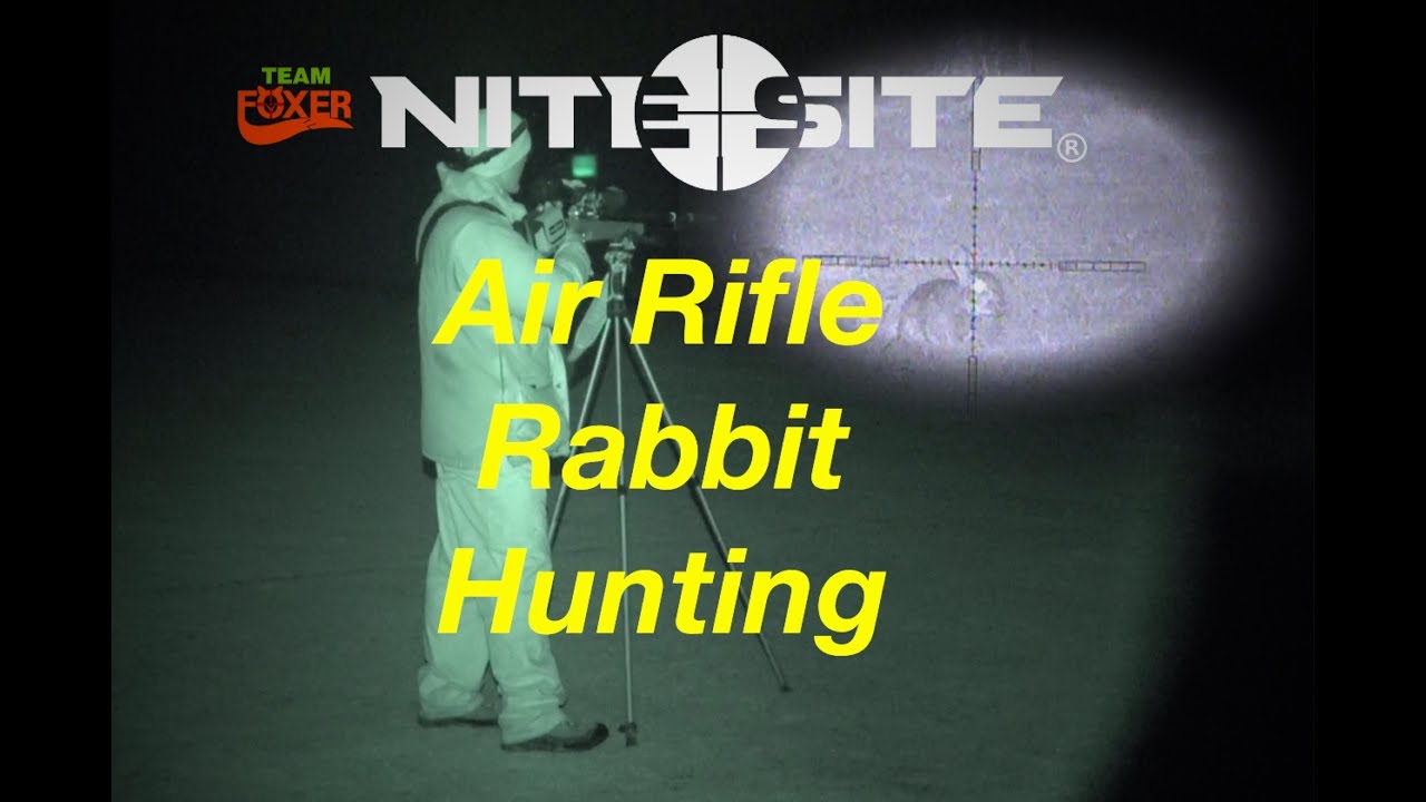 Rabbit Hunting With Air Rifles - YouTube