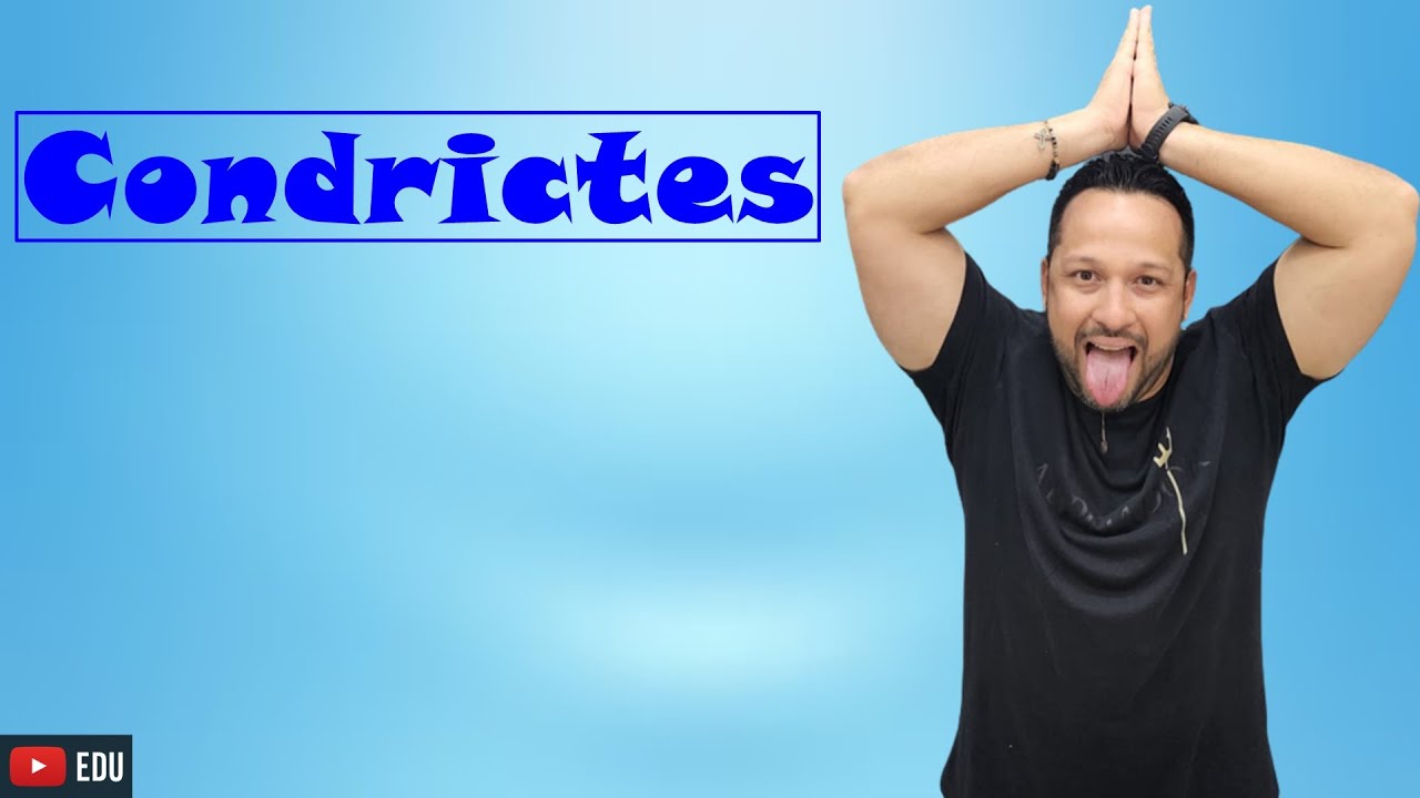 Condrictes ou Peixes Cartilaginosos - Características Gerais - Classe ...