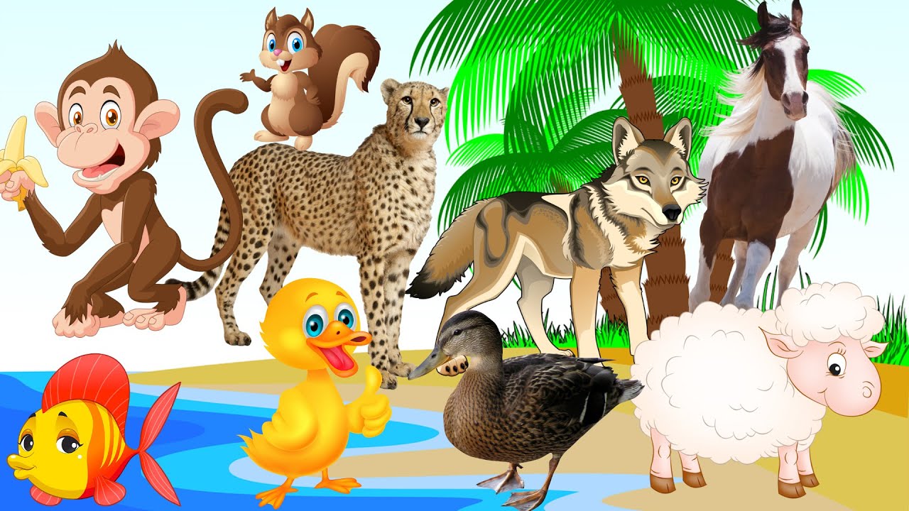 Wild animals and farm are cute, animal sounds: goose, goat, sheep ...