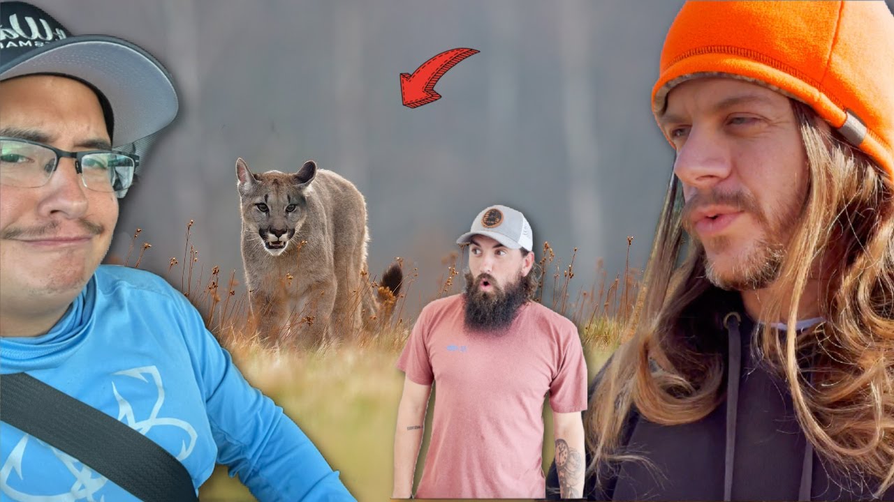 Being Hunted by Predators in the Dark Woods! - YouTube