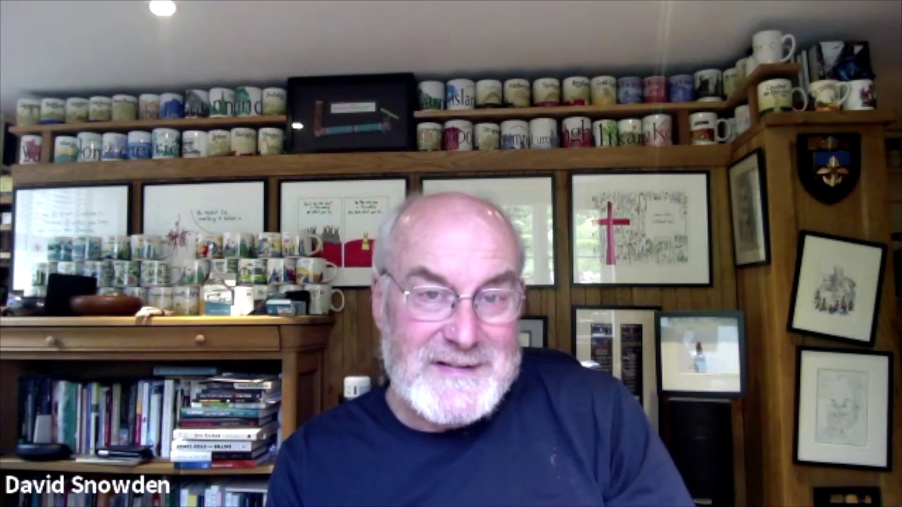 Resilience in a Time of COVID w/ Dave Snowden - YouTube