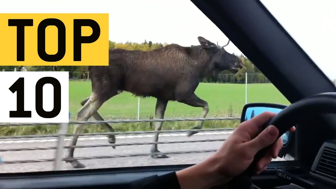 Top 10 Weird Things You See When Driving || JukinVideo Top Ten - YouTube