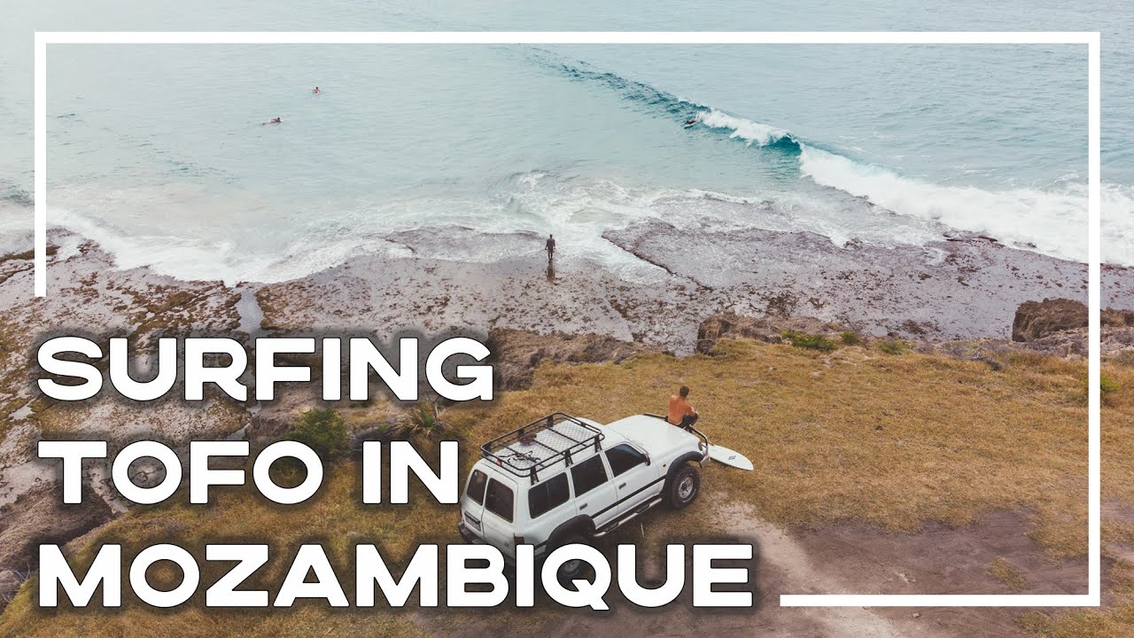 Surfing Mozambique - Epic Rights in Tofo (and Whalesharks!) 🇲🇿 | Stoked ...