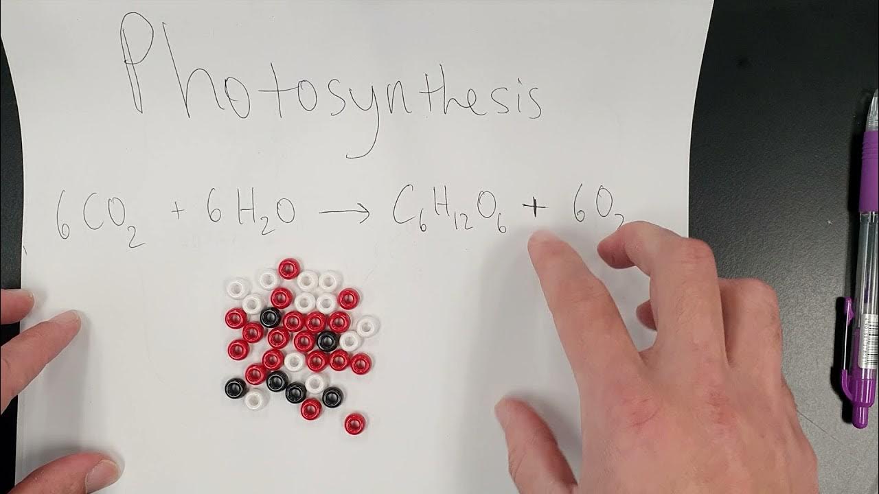 Photosynthesis Conservation of Mass - YouTube