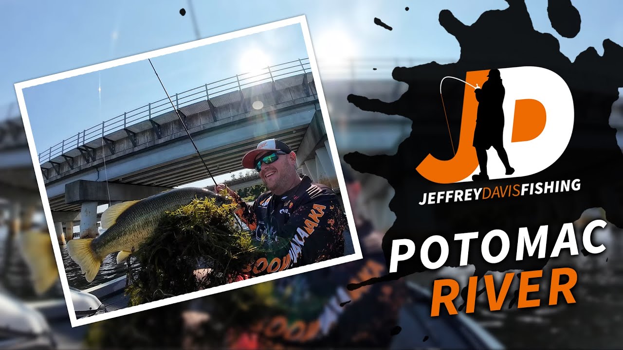 I'm Dialed In! - Potomac River BFL Top 10 - YouTube