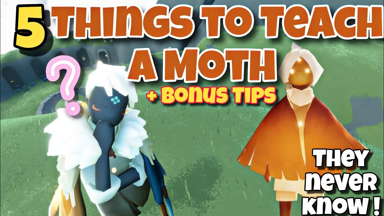 5 Things to Teach A Moth + Bonus Tips | sky children of the light - YouTube