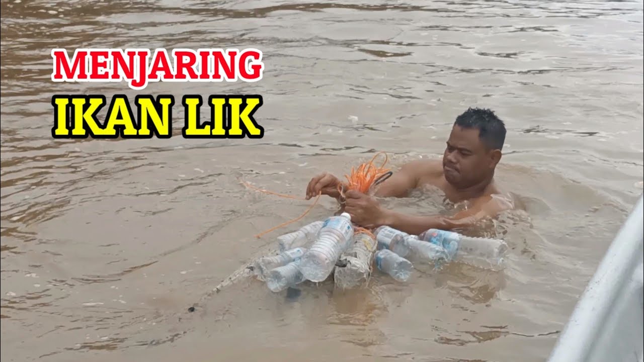 Menjaring Ikan Lik - YouTube