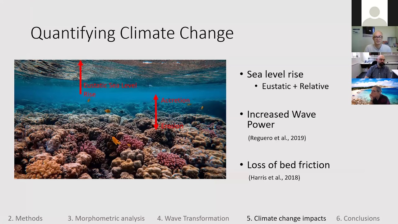 The influence of coral reef spur and groove morphology on wave ...