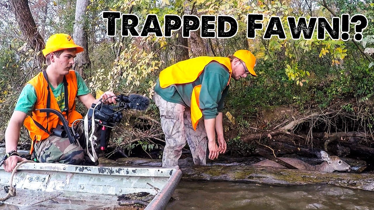 SAVING a TRAPPED Fawn!! - Ted and Gooch to the Rescue! - YouTube