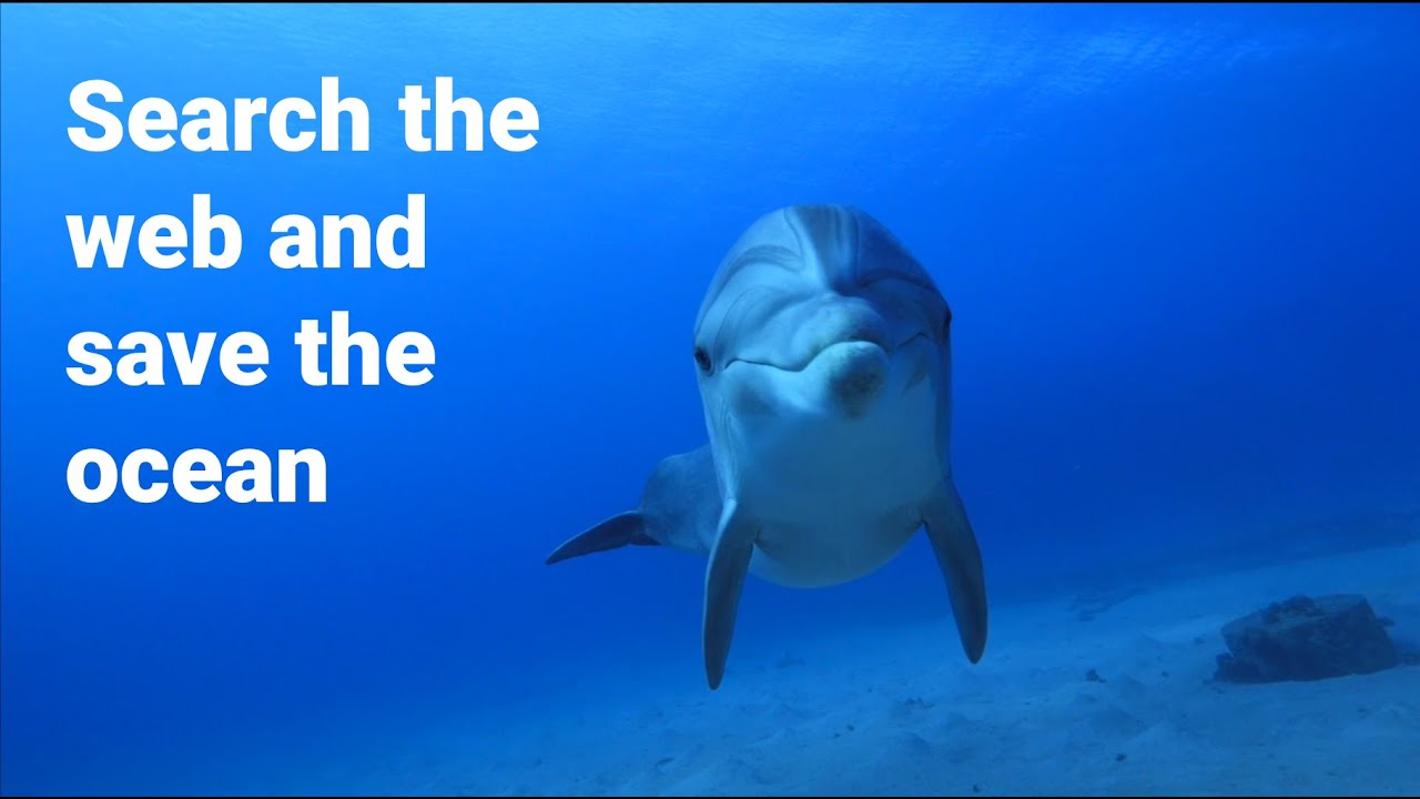 OceanHero, the search engine fighting plastic polution