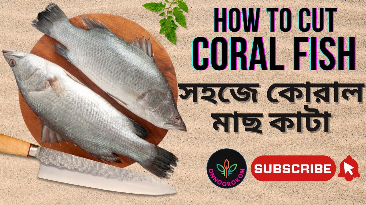 HOW TO CUT KORAL FISH সহজে কোরাল মাছ কাটা - YouTube
