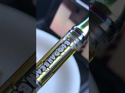 BUDDAH BEAR CARTRIDGE | TREEHOUSECO. - YouTube