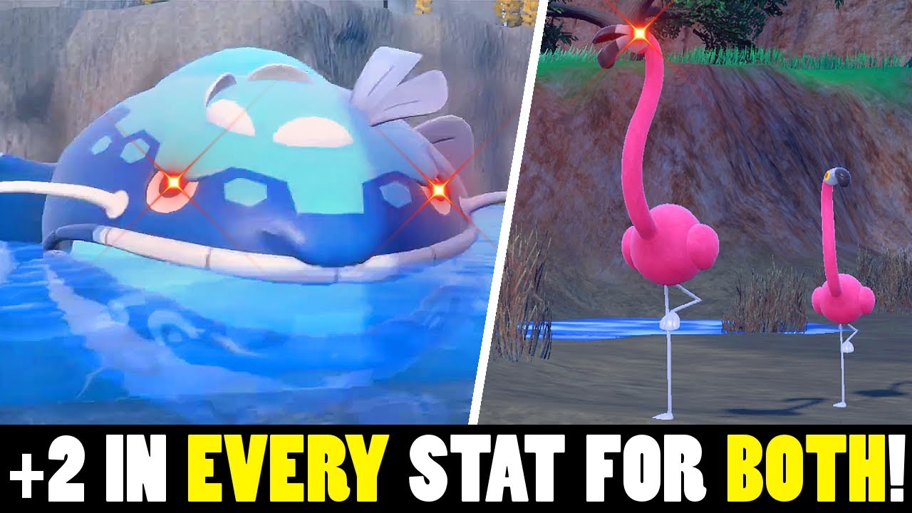 This Dondozo Flamigo Strategy Is SO BROKEN! - YouTube