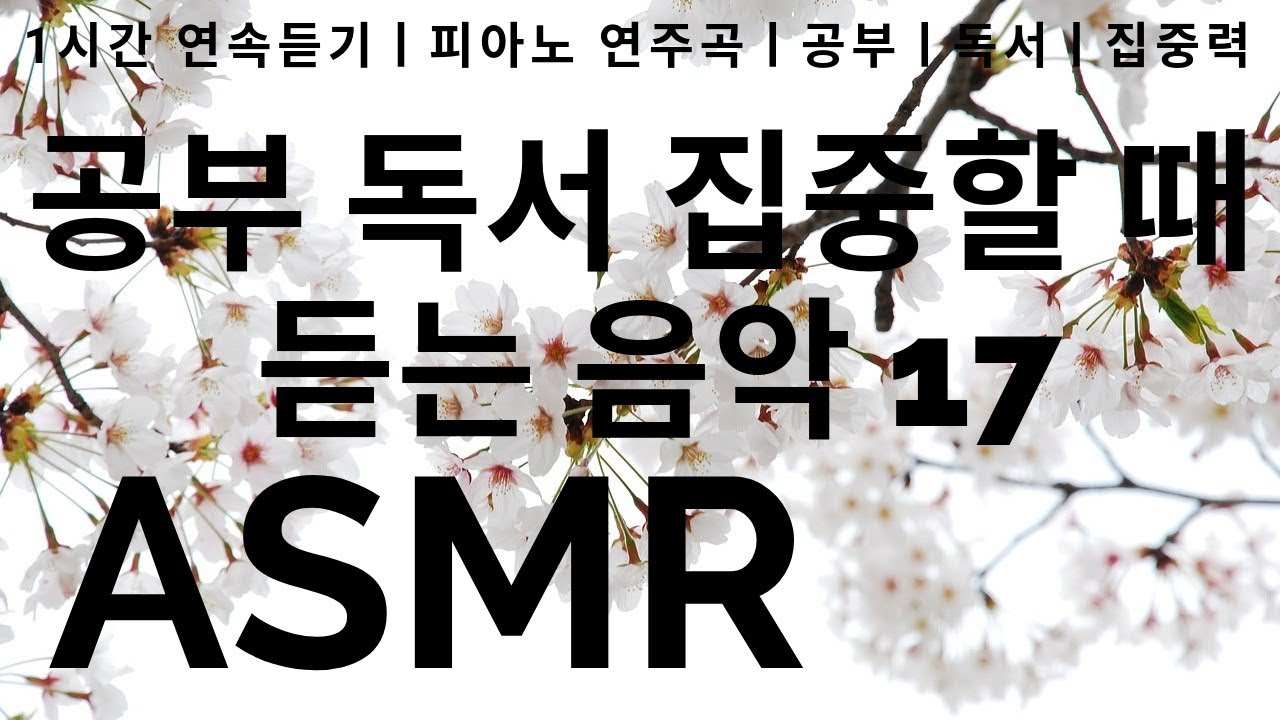 공부할때 듣는 음악 17 1시간 연속듣기ㅣ잔잔한 피아노곡 Asmrㅣ독서할 때 듣는 음악ㅣ책읽을때 듣는 음악ㅣ집중력 높이는 음악ㅣ공부 집중 잘되는 음악ㅣ공부할때 듣는 음악
