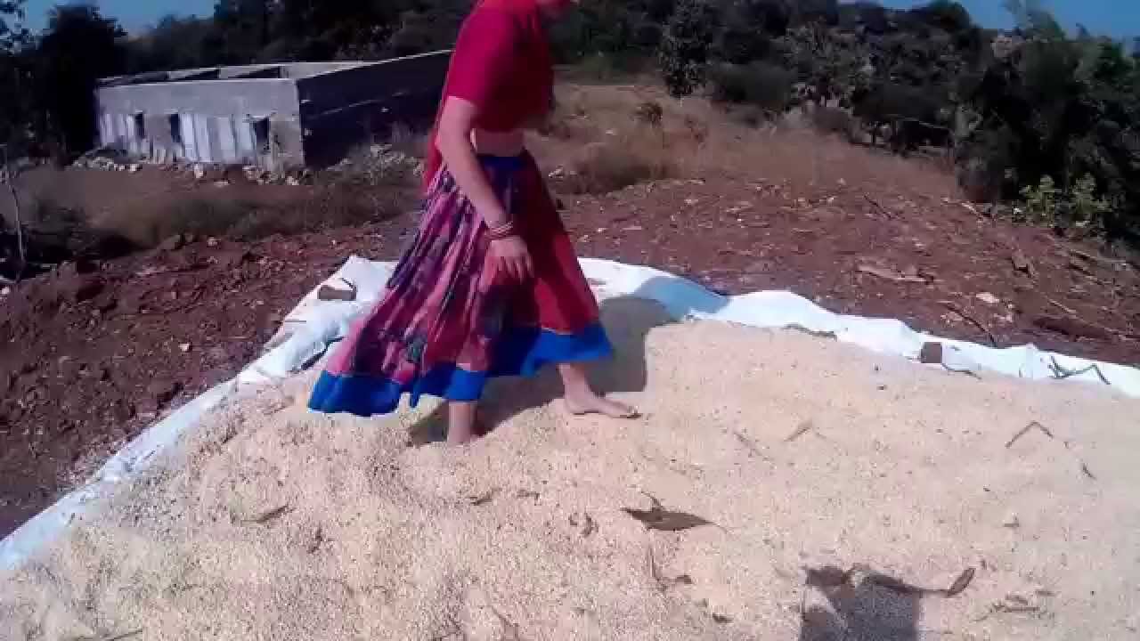 Balicha, Rajasthani, India help in a local village and see the ...