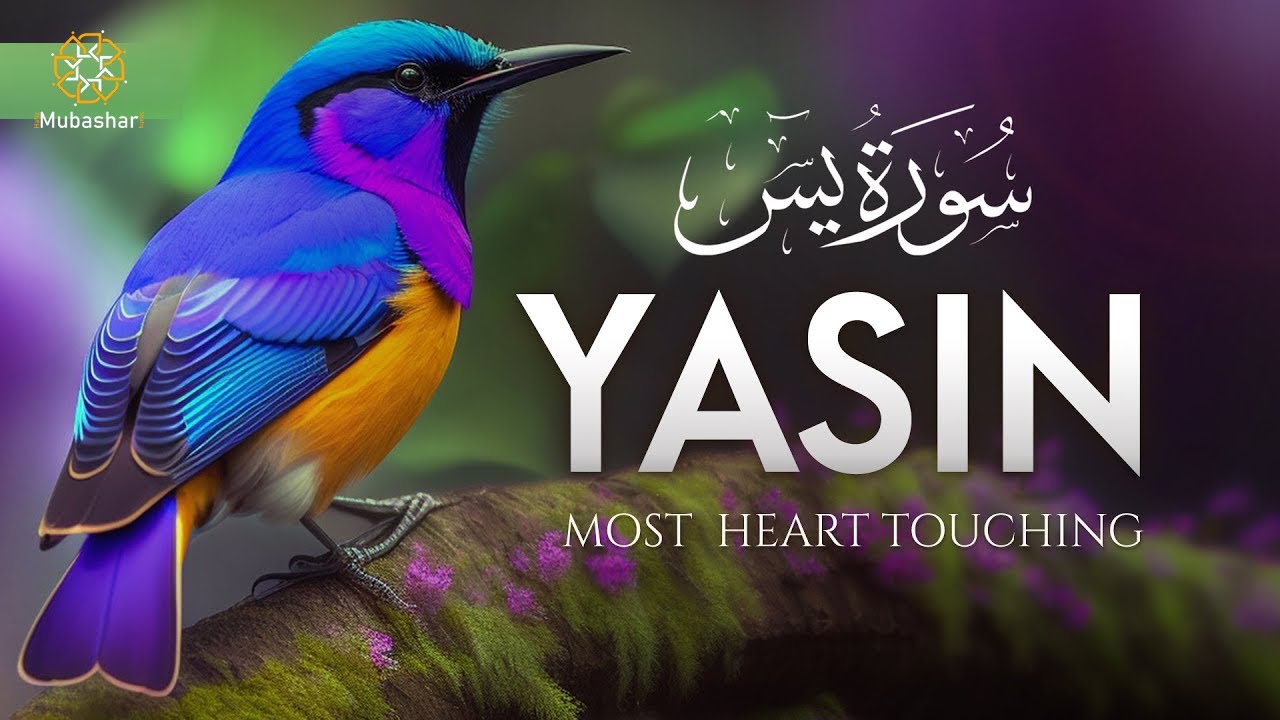 Surah Yasin | Surat Yaseen | Hafiz Mubashar Shafiq | سورۃ یاسین - YouTube