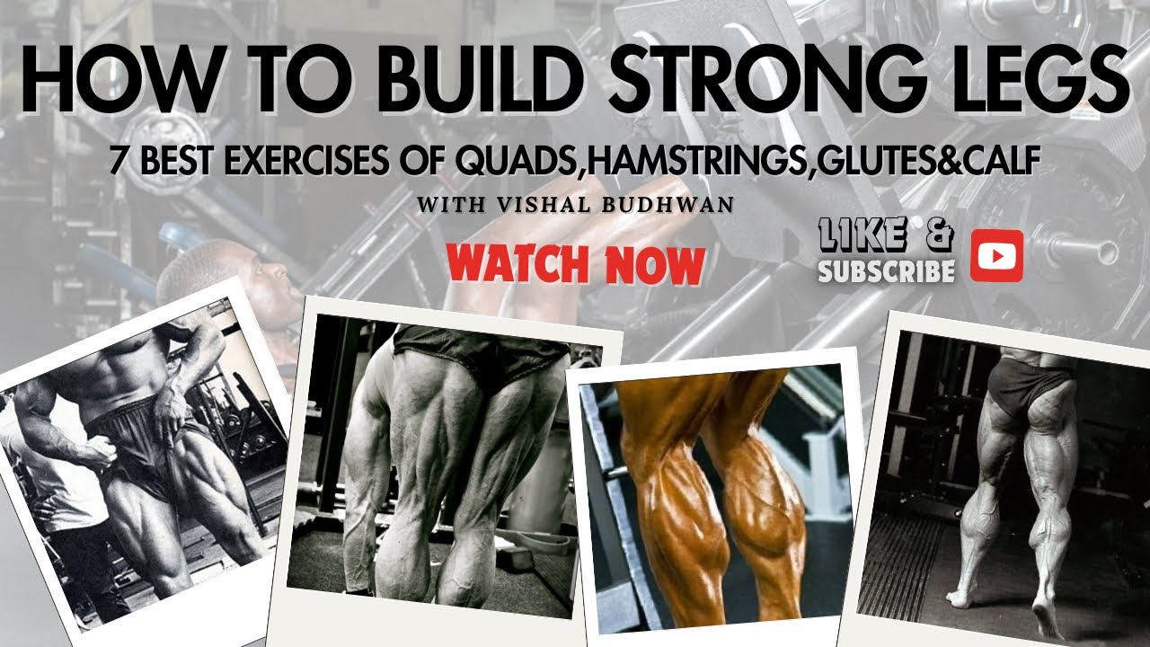 Legs workout! Best legs exercises! Leg workout At Gym! leg workout for ...