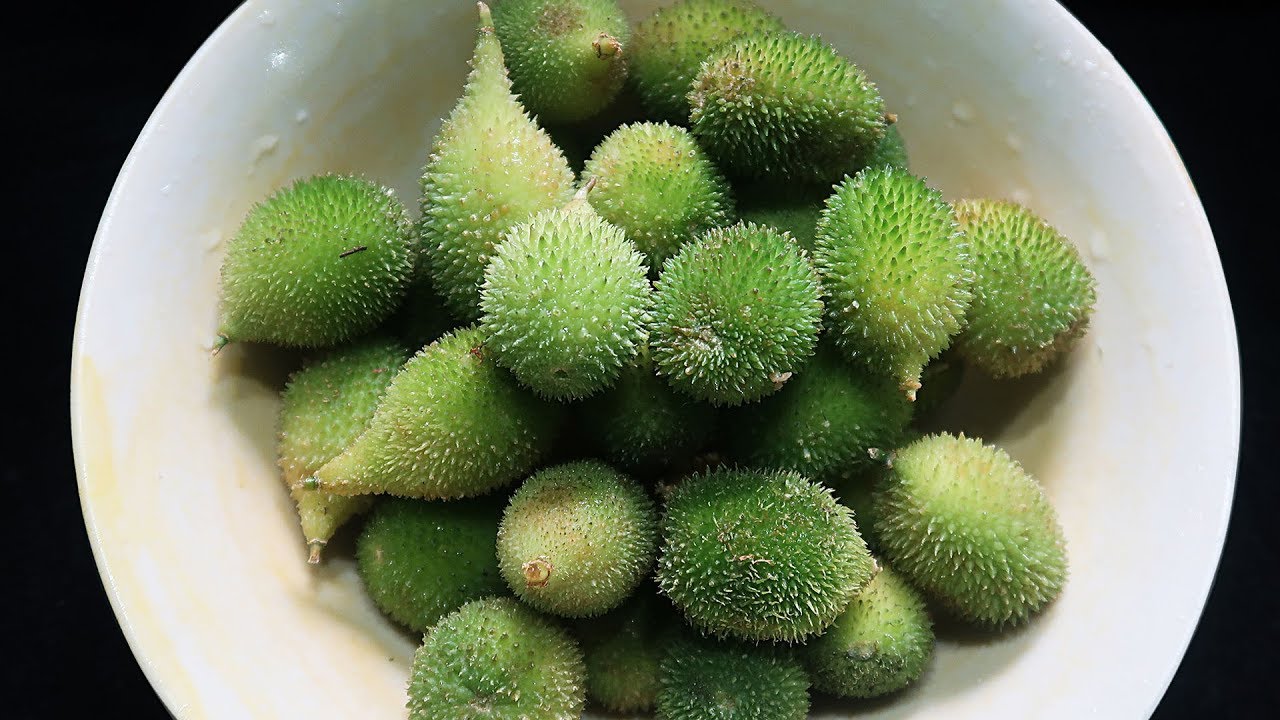 ककोड़ा की सब्जी | ककोड़ा मसाला फ्राई | Kakora | Spiny gourd Recipe ...