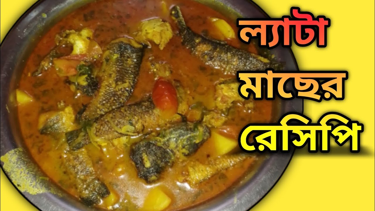 Video 35: ল্যাটা মাছের রেসিপি | leta macher jhal | লেটা মাছের রেসিপি ...