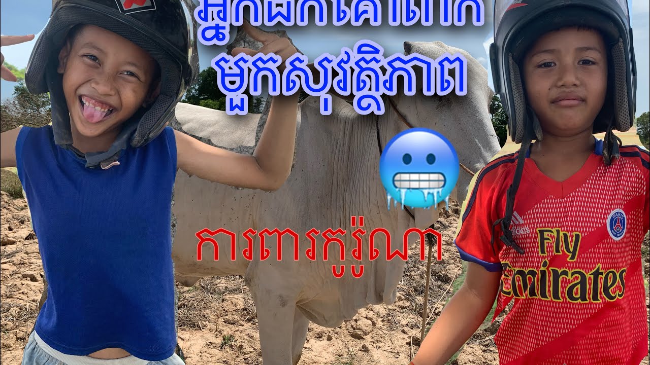 អាម៉ុចនិងអាមុយដឹងគោពាក់មួកសុវត្ថិភាពការពារកូរ៉ូណា Ah Moch&Ah Moy dek ...