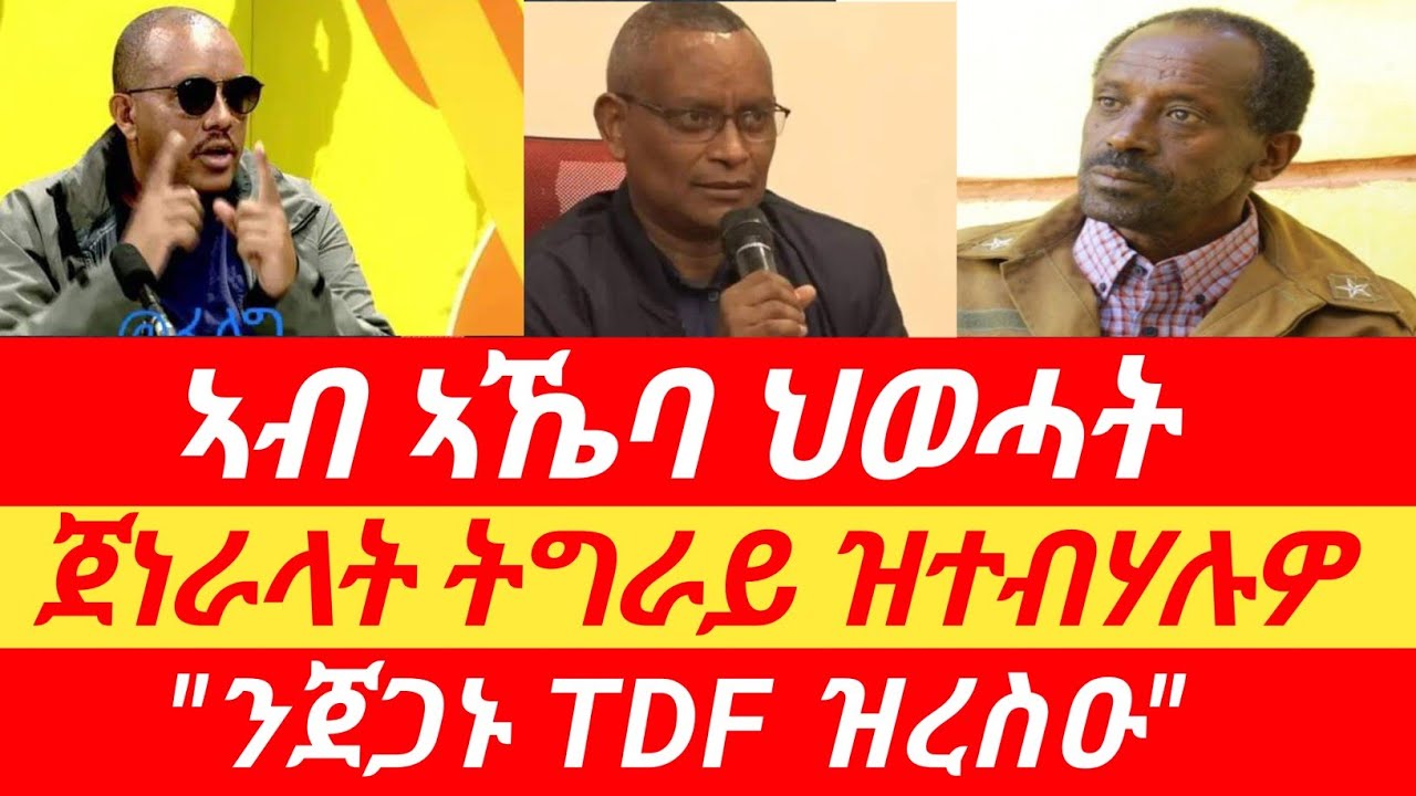 ጀነራላት ትግራይ ኣብ ኣኼባ ህወሓት ዝተብሃሉዎ "ንጀጋኑ TDF ዝረስዑ" - YouTube
