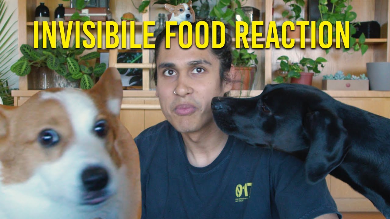 My dogs react to me eating invisible food! - YouTube