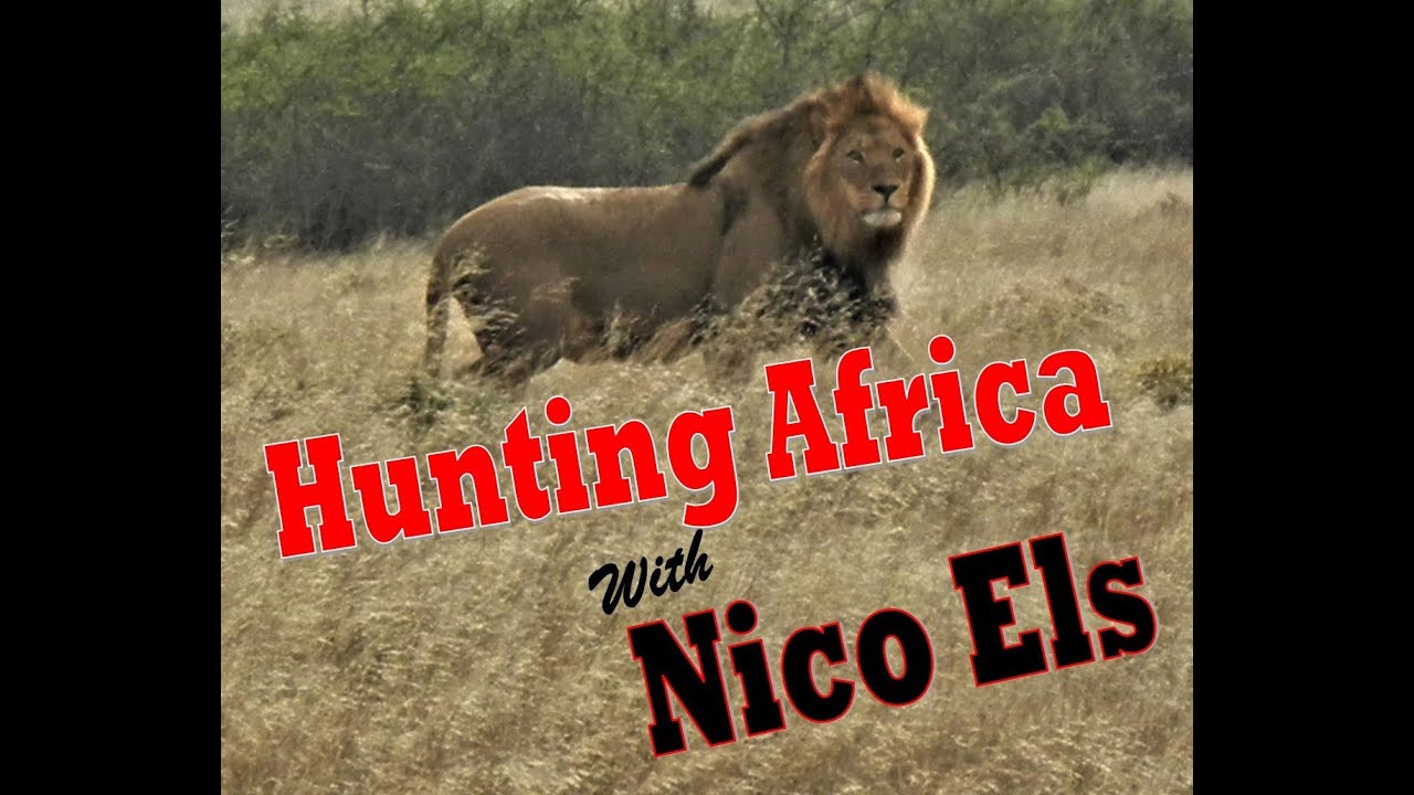 Hunting Africa with Nico Els - YouTube
