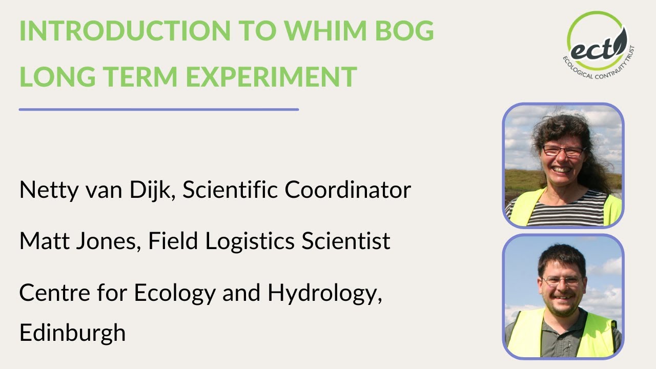 Introduction to Whim Bog Long-term Experiment 360-degree video - YouTube