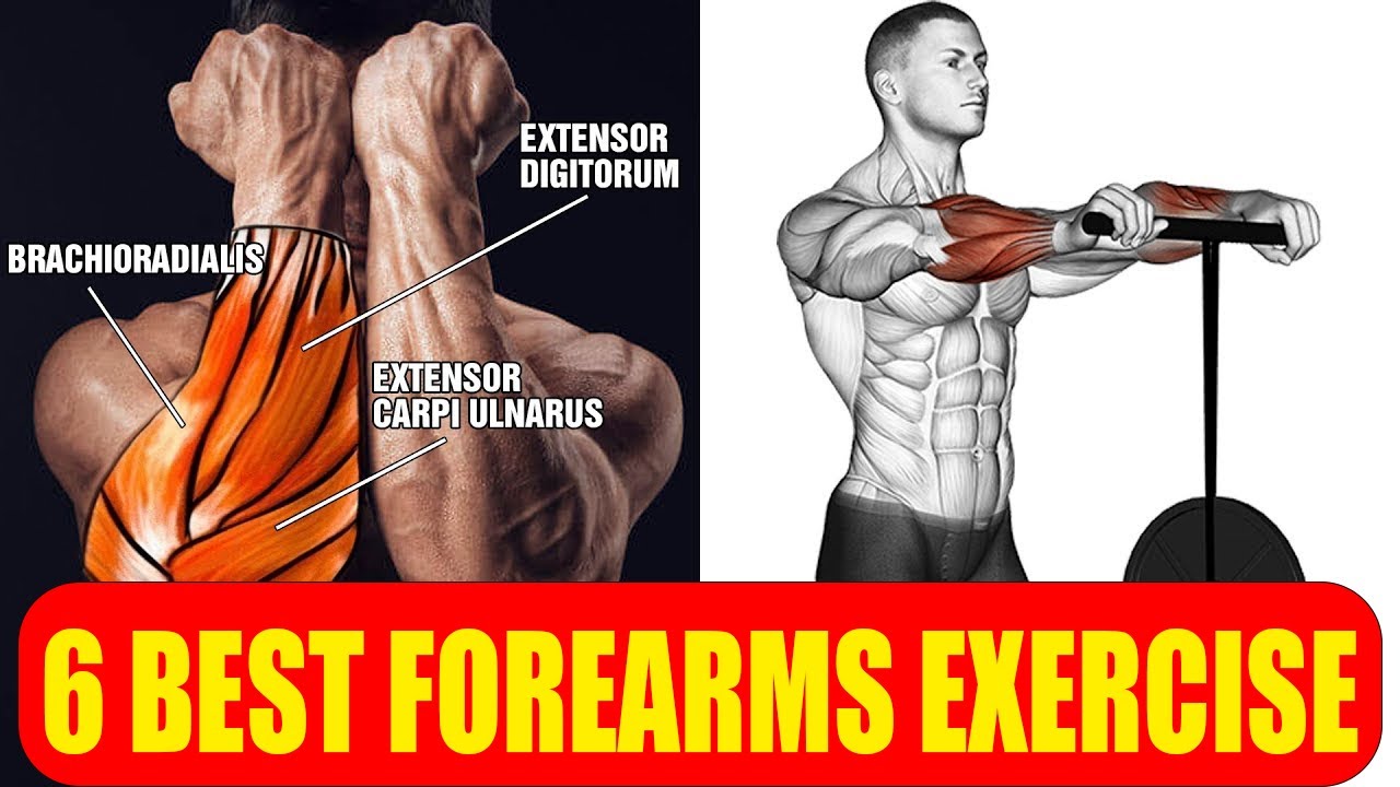 6 Best Forearms Exercises:forearms exercises - YouTube
