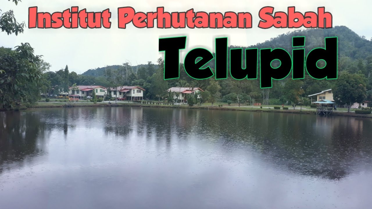 Tempat beriadah | Institut Perhutanan Sabah | Telupid Sabah - YouTube