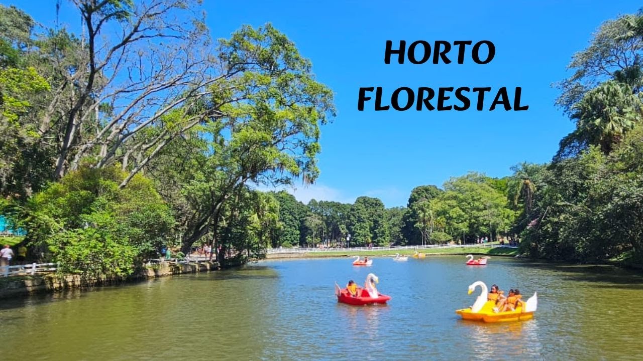 Horto Florestal - Passeio na Zona Norte da cidade de São Paulo - 13 ...