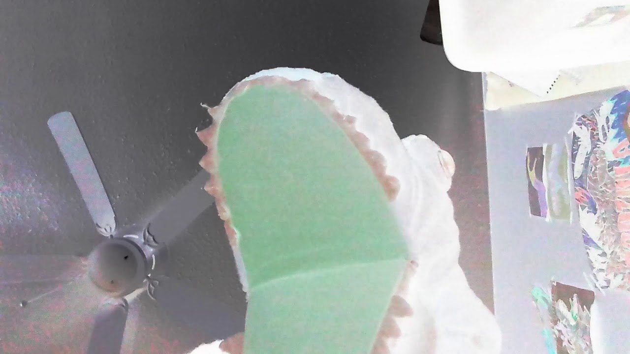 Chomperzilla roar 2 - YouTube