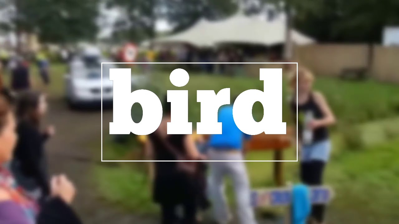 How to spell bird - YouTube