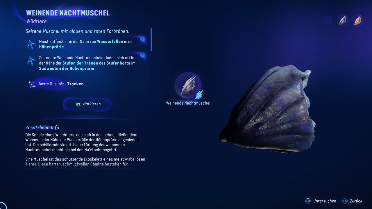 Weinende Nachtmuschel AUSGEZEICHNET / Weeping Night Shell SUPERIOR ...