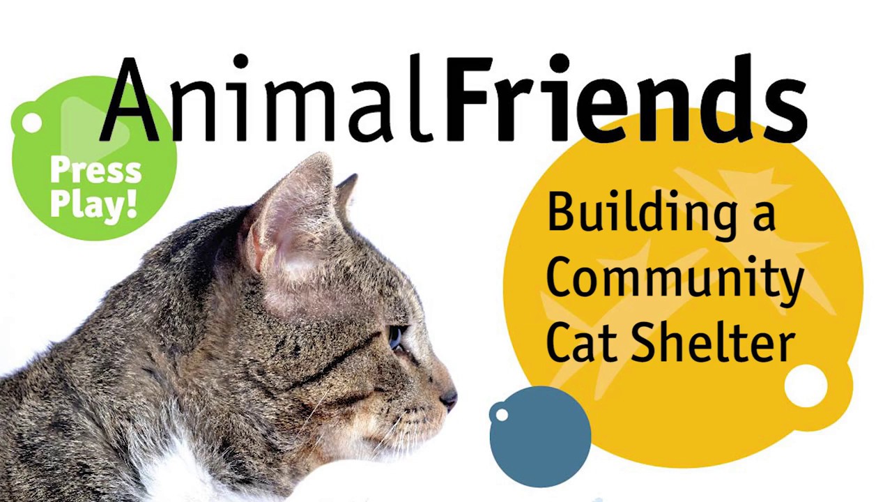 Building a Community Cat Shelter - YouTube