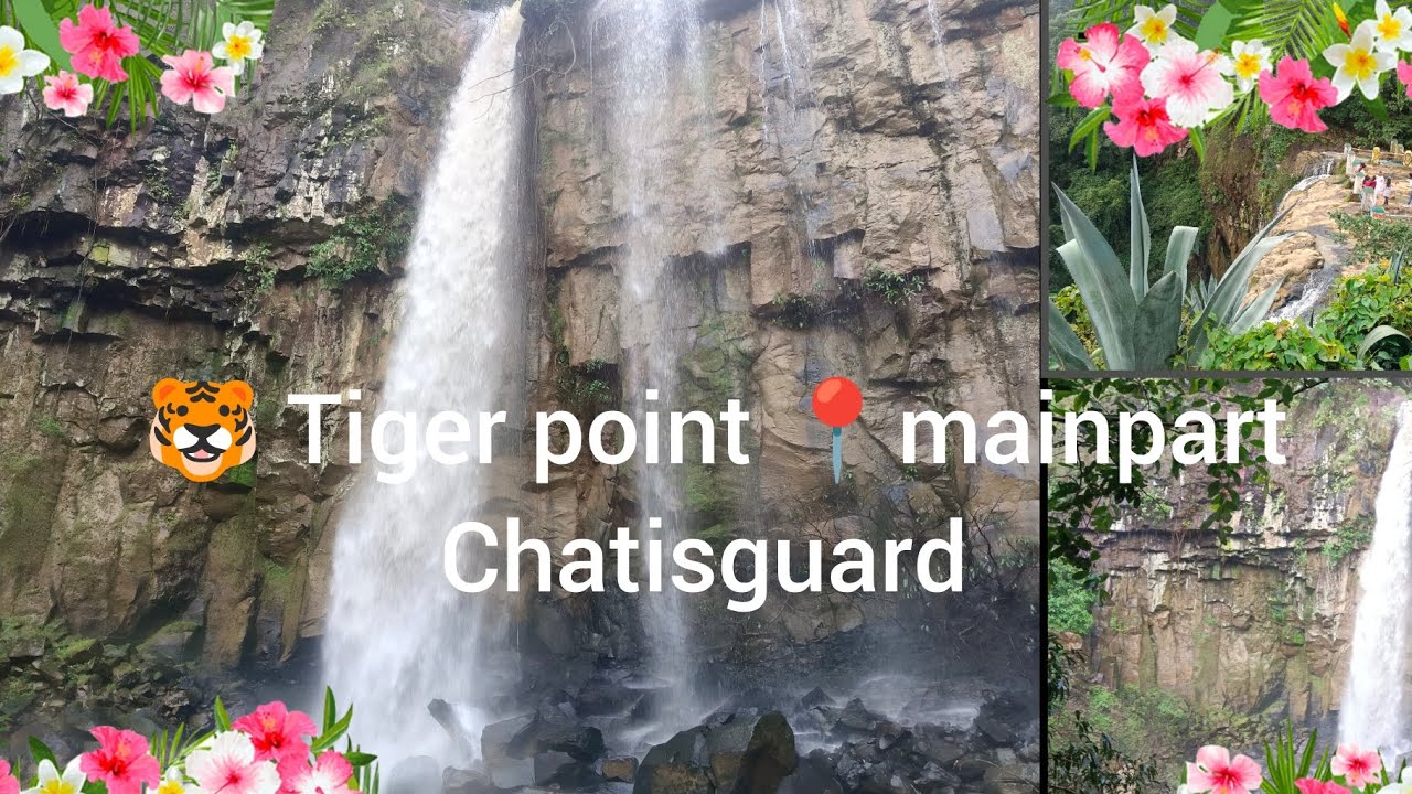 Tiger point 📍 mainpat Chatisguard #picnic #forest best picnic spot ...