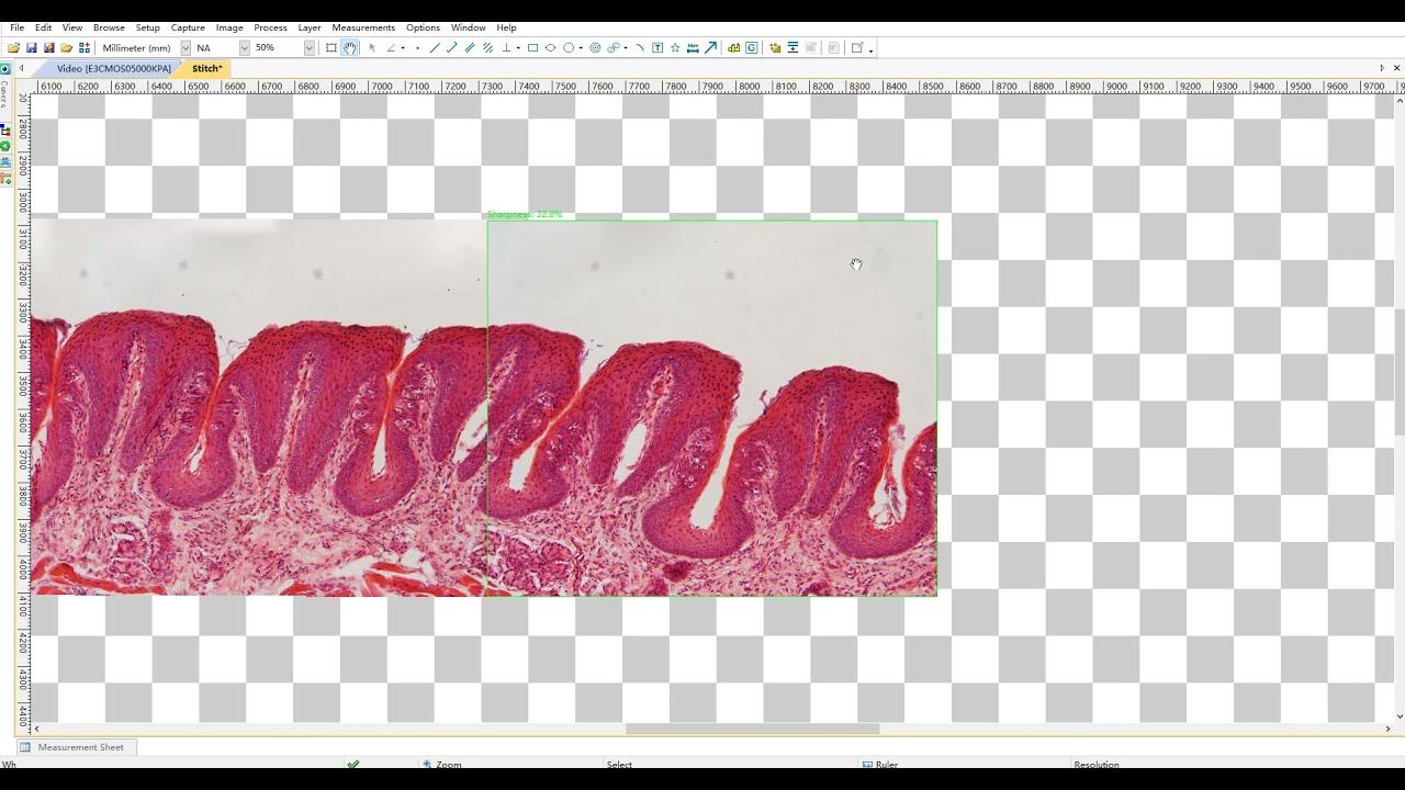 Microscope camera software Live Image Stitching - YouTube