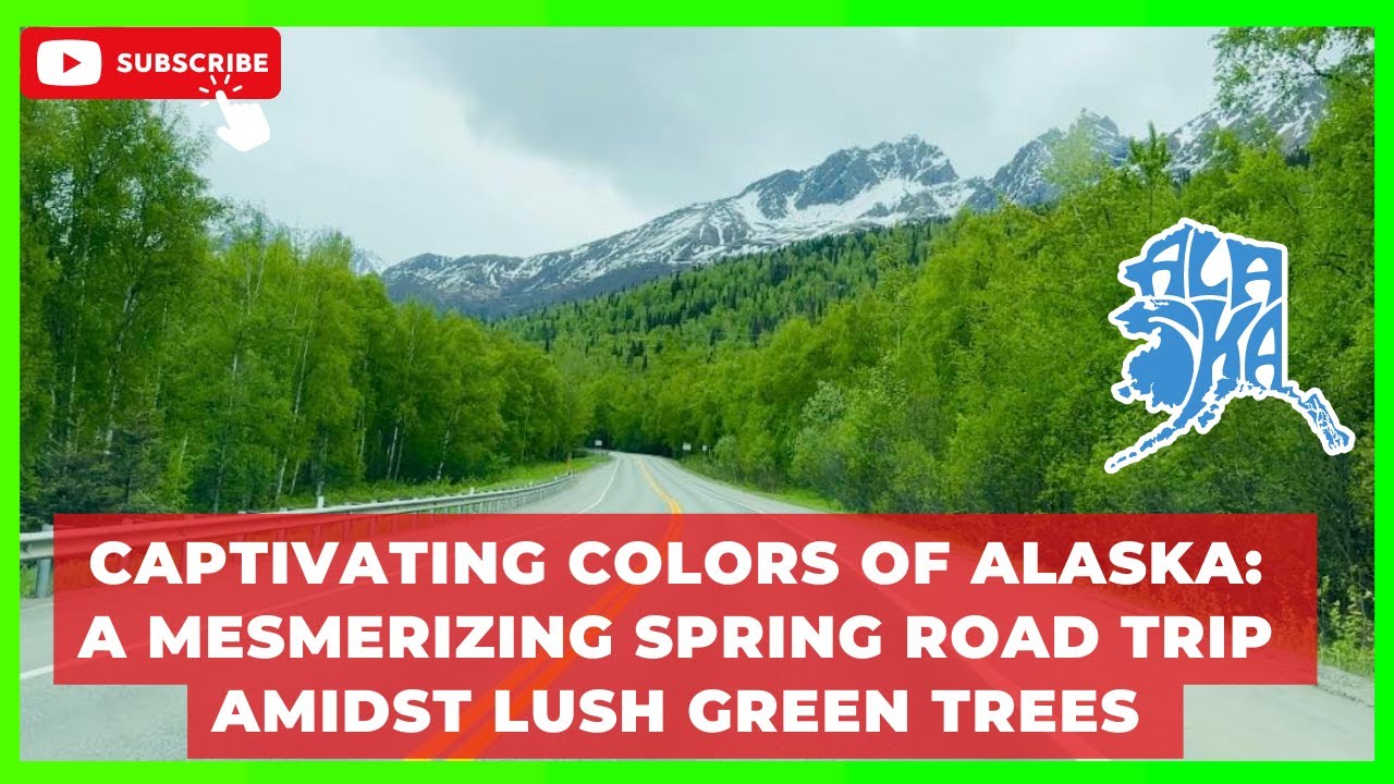 Alaska's Captivating Colors: A Mesmerizing Spring Road Trip Amidst Lush ...